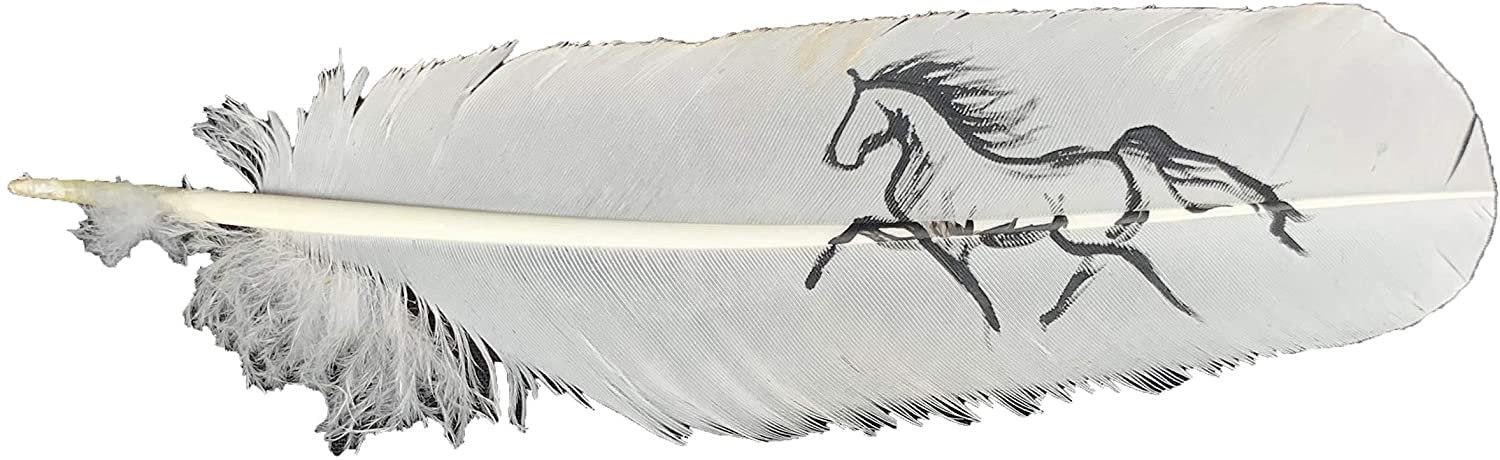 Hand Painted Horse Outline Cowboy Hat Feather, White